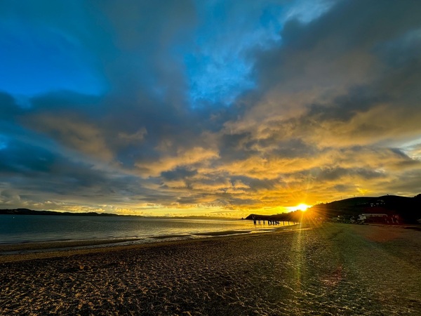 Off-Campus Housing and Sublets near Unitec Institute of Technology, Mt ...